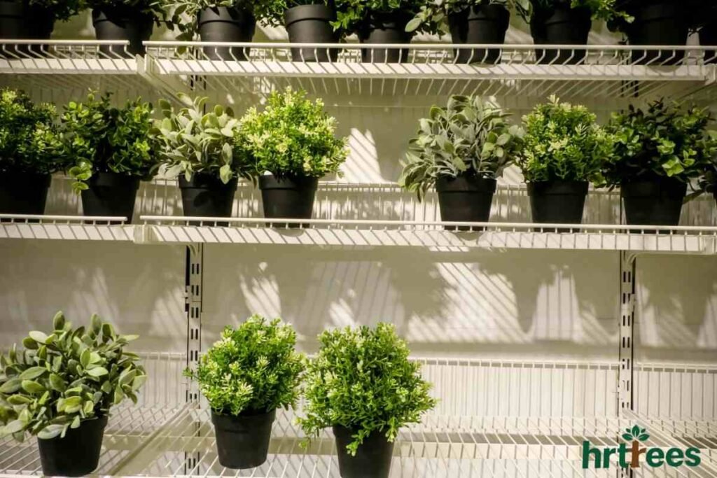Faux plants meaning - Are They Right for Your Home?
