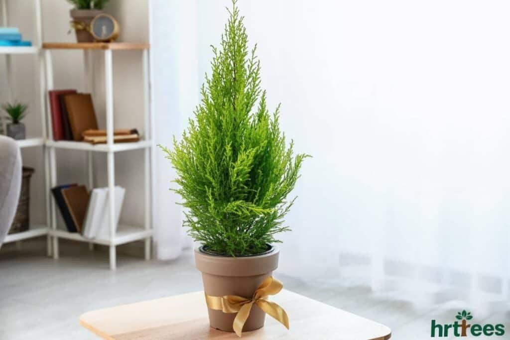 A Complete Guide to Artificial Cypress Tree - Styling Tips